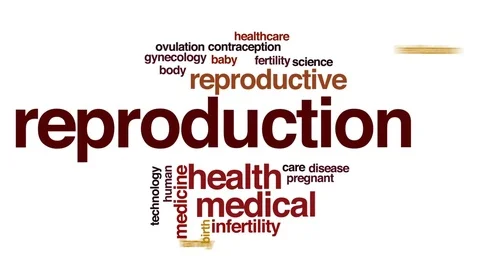 Reproduction animated word cloud, text d... | Stock Video | Pond5