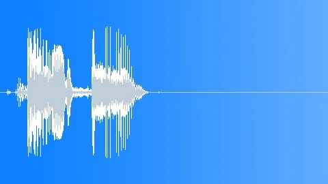 Reproduction Flintlock Musket Rifle ~ Sound Clip #79338033