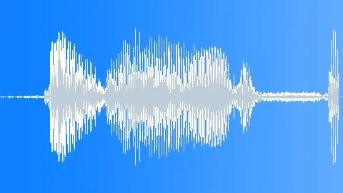 Sound Effect: Reproduction Flintlock Musket Rifle ~ #79338035