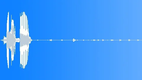 Sound Effect: Reproduction Flintlock Musket Rifle ~ #79338039