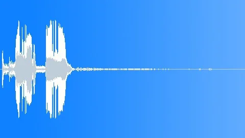 Sound Effect: Reproduction Flintlock Musket Rifle ~ #79365115