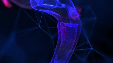 Reproductive System Female with motion a... | Stock Video | Pond5