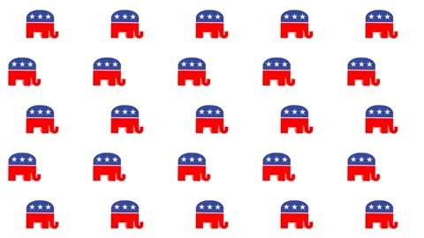 Elephant Party Stock Videos – Royalty-Free HD & 4K Videos | Pond5