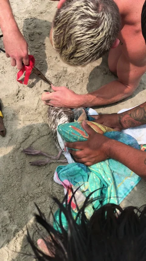 Last Surprise Stock Videos – Royalty-Free HD & 4K Videos