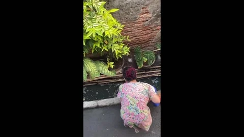 Rescuing little adventurer as a silent c... | Stock Video | Pond5