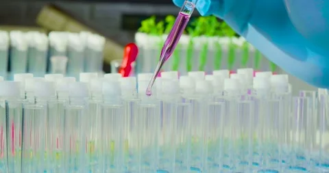 Test Video 4K Stock Videos – Royalty-Free HD & 4K Videos