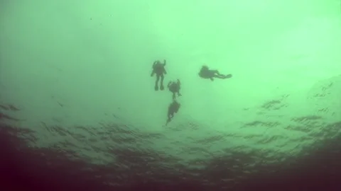 Underwater Lake Bottom Stock Video Footage | Royalty Free Underwater ...