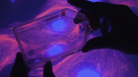 Stem Image Stock Videos – Royalty-Free HD & 4K Videos | Pond5