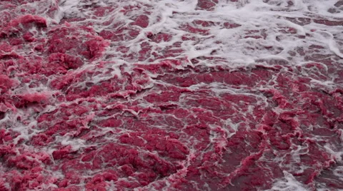 Reservoir Flows Red Water HD Pro | Stock Video | Pond5