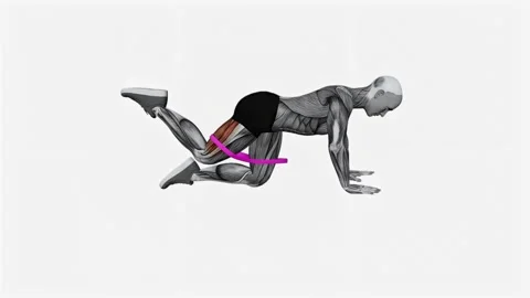 Fitness Animation Stock Video Footage | Royalty Free Fitness Animation ...