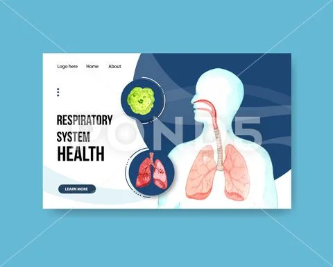 Respiratory system design for website template with Human Anatomy of ...