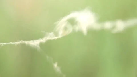 Sound M\ Stock Videos – Royalty-Free HD & 4K Videos | Pond5