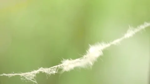 M327 Web Stock Videos – Royalty-Free HD & 4K Videos