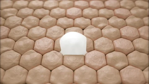 Restoration of the skin structure. Rejuv... | Stock Video | Pond5