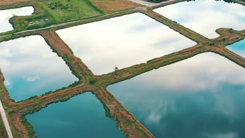 Pond Basins Stock Footage ~ Royalty Free Stock Videos | Pond5