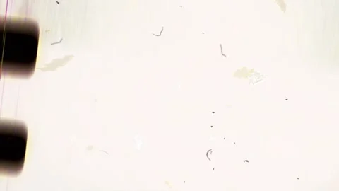 Art Film Video Stock Videos – Royalty-Free HD & 4K Videos | Page 6