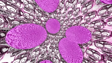 Starship Space Stock Videos – Royalty-Free HD & 4K Videos | Page 3