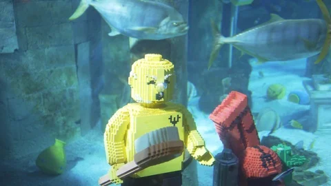 Reveal full size cartoon Lego character ... | Stock Video | Pond5