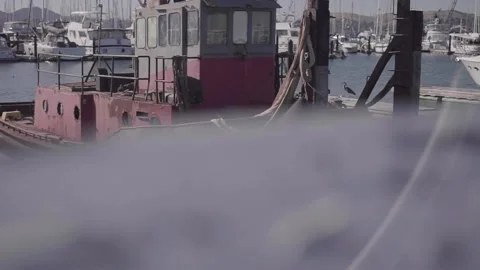 Format J Stock Videos – Royalty-Free HD & 4K Videos