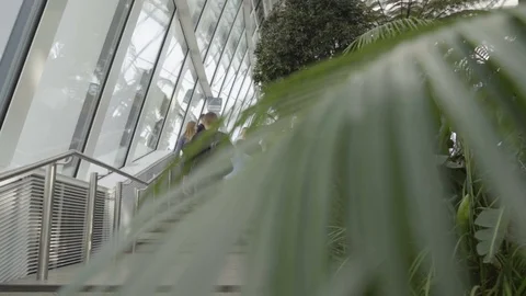 Revealing shot of tourists looking aroun... | Stock Video | Pond5