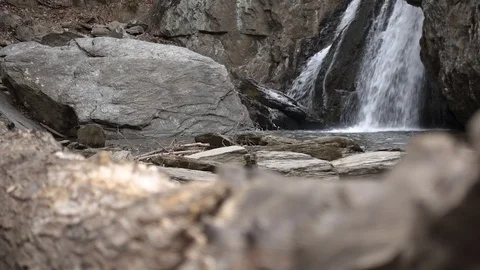 Revealing waterfall behind fallen tree. | Stock Video | Pond5