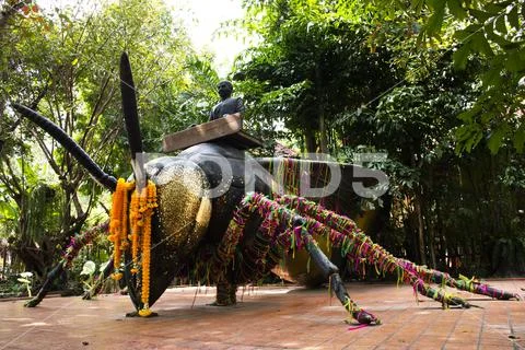 Reverend Luang Phor Kong sit on Giant large Phaya Hornet wasp in Khum ...