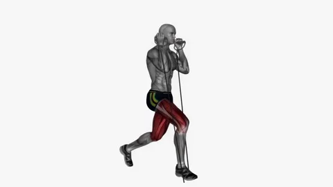 Fitness Animation Stock Video Footage | Royalty Free Fitness Animation ...