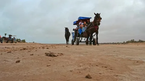 Reverse tracking shot of horse pulling c... | Stock Video | Pond5