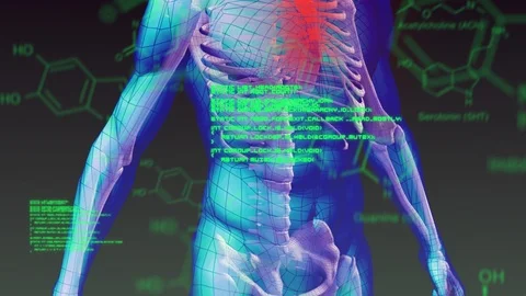 Revolving human body and skeleton with m... | Stock Video | Pond5