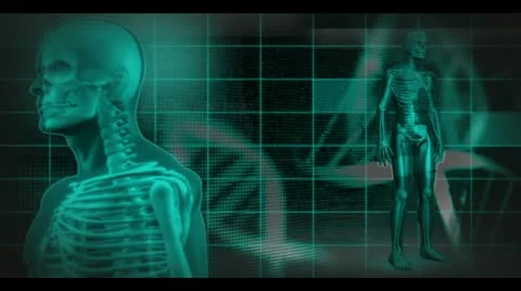 Revolving human skeleton figures | Stock Video | Pond5