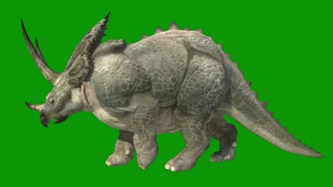 rhino green screen dinosaur walking anla... | Stock Video | Pond5