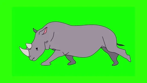 Rhino Running on Green screen background... | Stock Video | Pond5