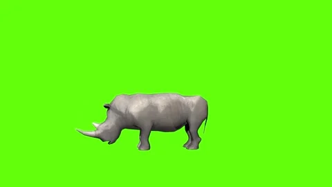 Rhinoceros get hit green screen animatio... | Stock Video | Pond5