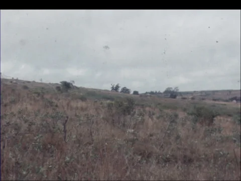 Rhodesian Flag Stock Video Footage | Royalty Free Rhodesian Flag Videos ...