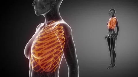 RIBS bone skeleton x-ray scan in black | Stock Video | Pond5