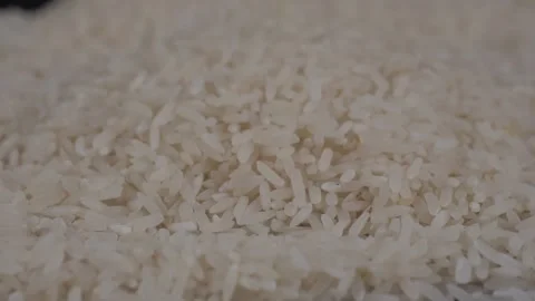 rice falling black background | Stock Video | Pond5