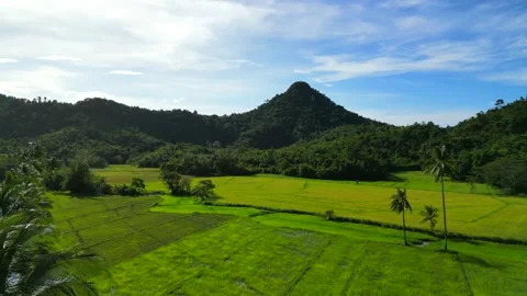 Rice field in El nido Palawan, Philippin... | Stock Video | Pond5