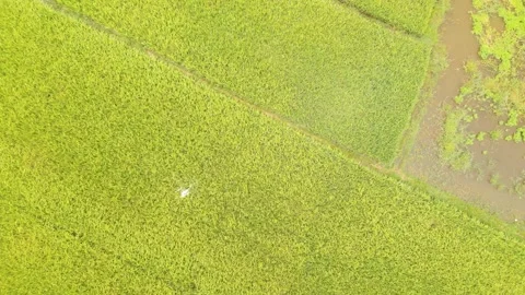 Perspectiva Top Down Stock Videos – Royalty-Free HD & 4K Videos | Pond5