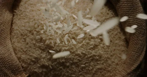 Rice Grains Stock Footage ~ Royalty Free Stock Videos | Pond5