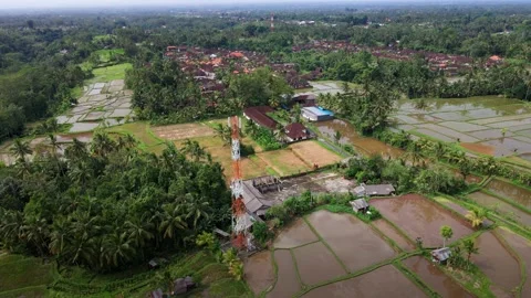 Rice Paddy Fields Near The Rural Town Wi... | Stock Video | Pond5