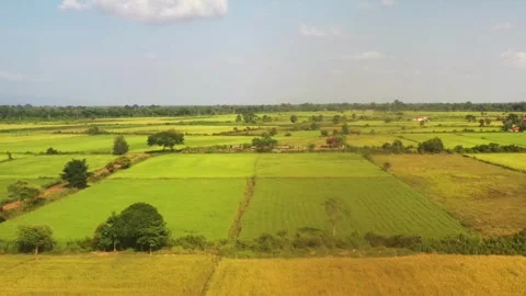Rice terraces from drone camera. Rice fi... | Stock Video | Pond5