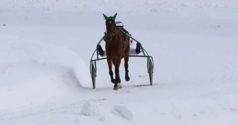 Horse Racing Drawings Stock Videos – Royalty-Free HD & 4K Videos | Pond5