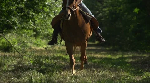 Horse Riding Stock Video Footage | Royalty Free Horse Riding Videos | Pond5