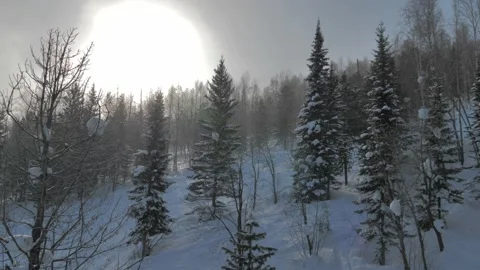 Riding On Snow Stock Videos – Royalty-Free HD & 4K Videos | Page 5