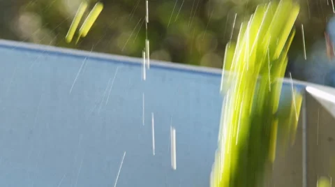 Riesling grape juice dripping from a pre... | Stock Video | Pond5