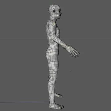 3D Model: Rigged 24 Year Old European Male Base Mesh #91529421
