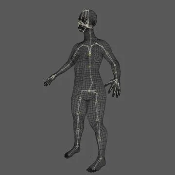 Rigged 25 Year Old Dwarf African Female Base Mesh ~ 3D Model #91426592