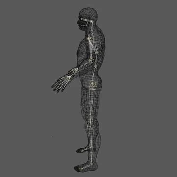 Rigged European Muscle Man ~ 3D Model #91426162 | Pond5