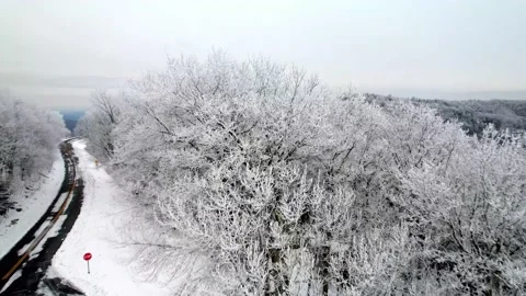 rime ice and hoarfrost on trees along ro... | Stock Video | Pond5