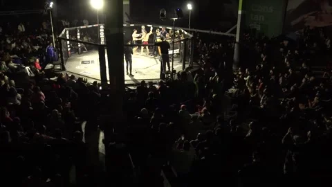 Ring Pan MMA Fight | Stock Video | Pond5